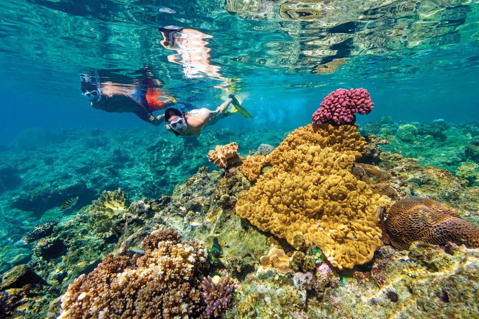 Fidschi in Kürze - Fast Facts - WeltReisender Magazin